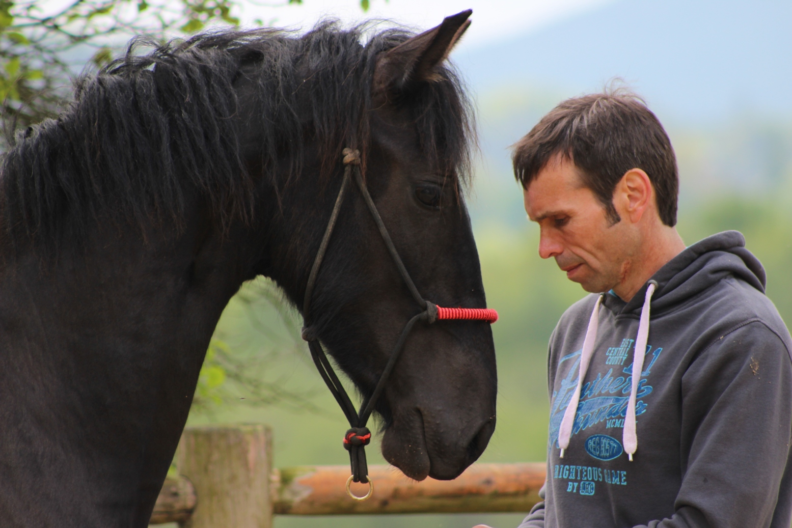 How to talk to a horse - Radek Libal